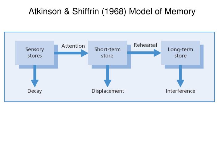 PPT - Memory III Working Memory & Brain PowerPoint Presentation - ID:386691