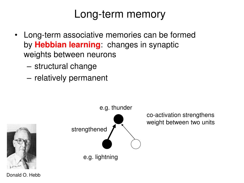 PPT - Memory III Working Memory & Brain PowerPoint Presentation - ID:386691 PPT - Memory III Working Memory & Brain PowerPoint Presentation - ID:386691