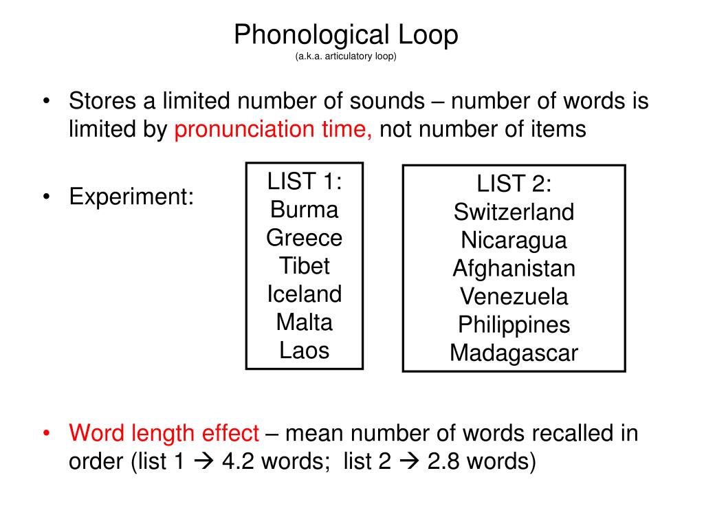 PPT - Memory III Working Memory & Brain PowerPoint Presentation - ID:386691 PPT - Memory III Working Memory & Brain PowerPoint Presentation - ID:386691