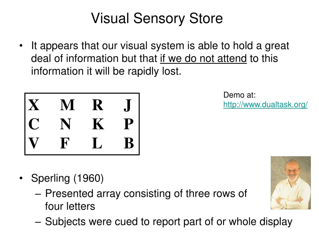 PPT - Memory III Working Memory & Brain PowerPoint Presentation - ID:386691 PPT - Memory III Working Memory & Brain PowerPoint Presentation - ID:386691