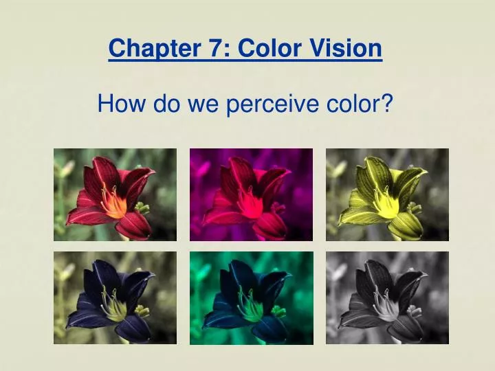 PPT - Chapter 7: Color Vision How do we perceive color? PowerPoint ...
