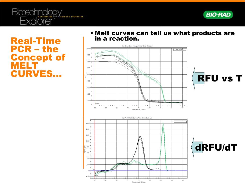 Ppt Real Time Pcr Powerpoint Presentation Free Download Id 388169