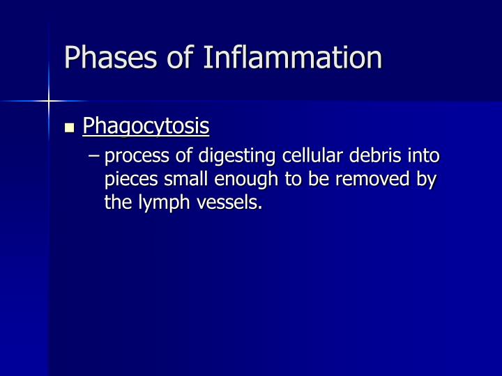 PPT - The Eight Phases of Inflammation PowerPoint Presentation - ID:388570