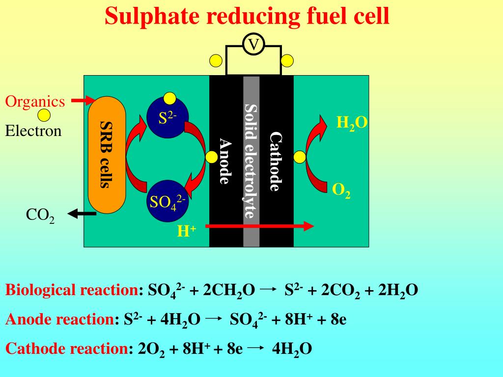 PPT - Biomass Fuel Cells PowerPoint Presentation, free download - ID:389005
