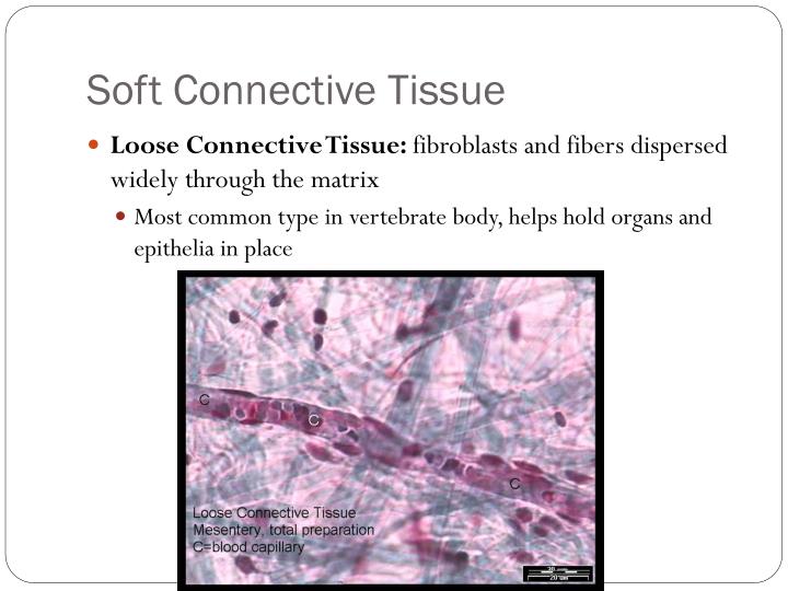 PPT - Chapter 33 PowerPoint Presentation - ID:389967