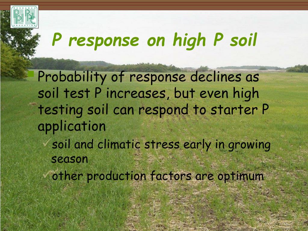 PPT - Terry L. Roberts Potash & Phosphate Institute Potash & Phosphate ...