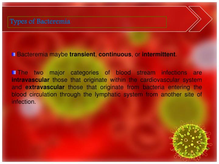 PPT - Blood culture PowerPoint Presentation - ID:390659