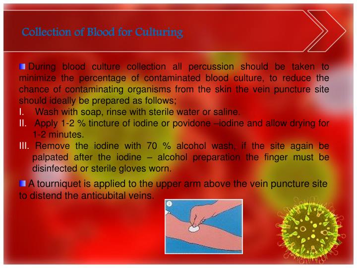 PPT - Blood culture PowerPoint Presentation - ID:390659