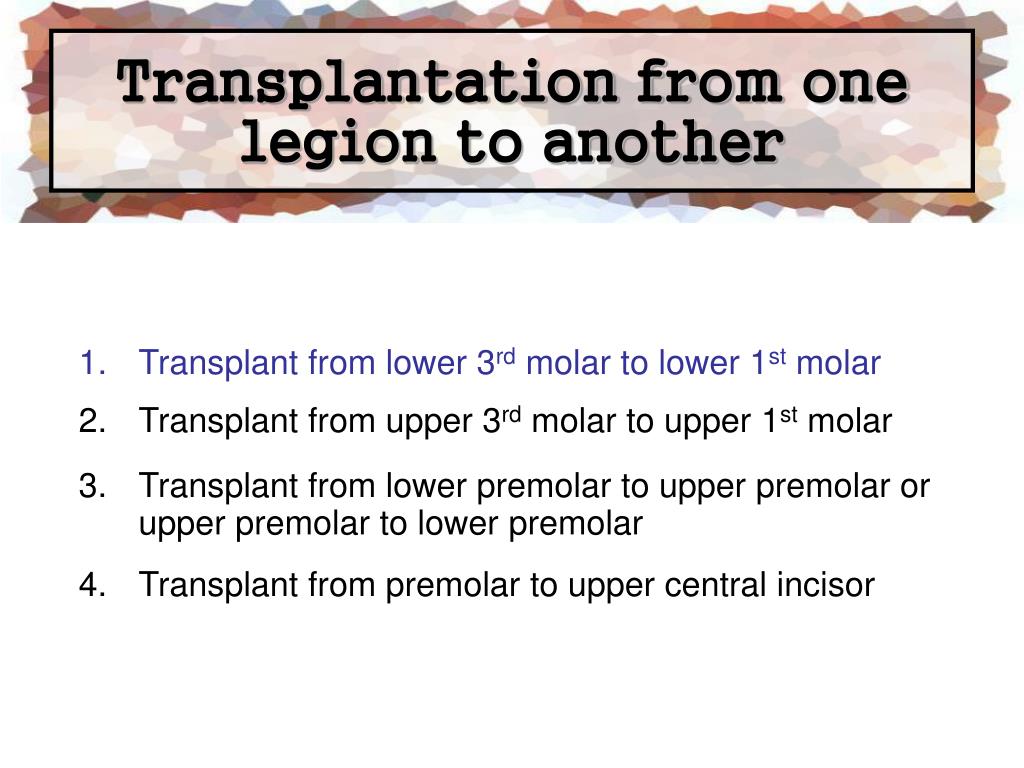 Ppt Tooth Transplantation Powerpoint Presentation Free Download Id