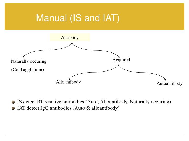 PPT - Pretranfusion Compatibility Testing PowerPoint Presentation - ID ...