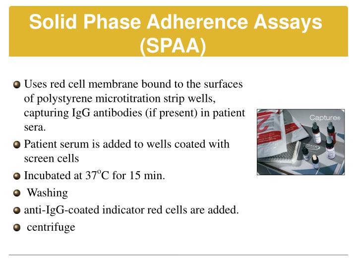 PPT - Pretranfusion Compatibility Testing PowerPoint Presentation - ID ...
