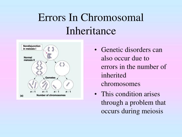 PPT - Chromosomal Basis of Inheritance PowerPoint Presentation - ID:391412