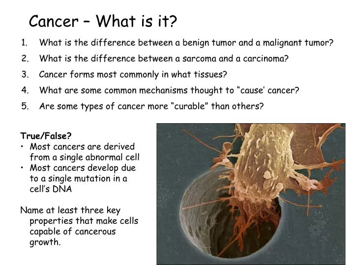 PPT - Cancer – What is it? PowerPoint Presentation, free download - ID ...
