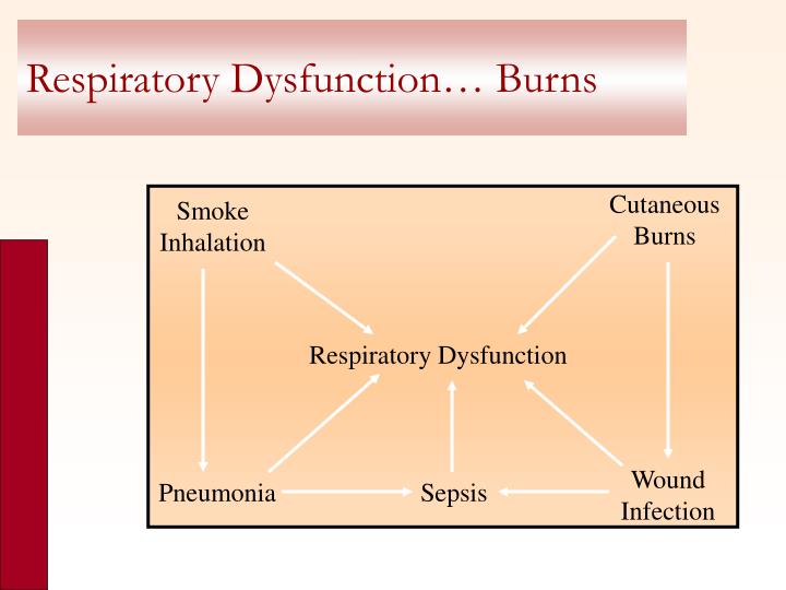 PPT - Smoke Inhalation PowerPoint Presentation - ID:394256