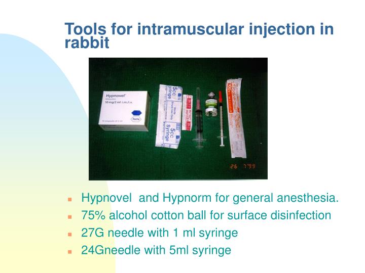 PPT - Laboratory Animal Handling Technique PowerPoint Presentation - ID ...