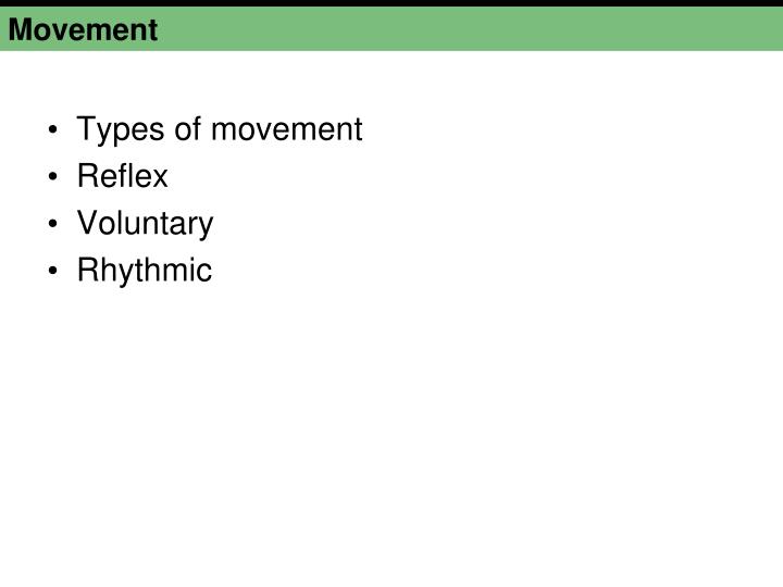 PPT - Chapter 13 PowerPoint Presentation - ID:395883