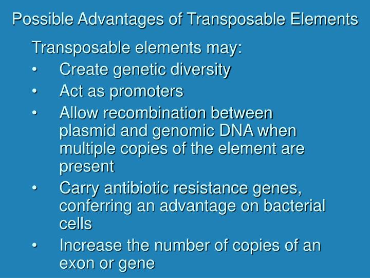 PPT - Transposable Elements PowerPoint Presentation - ID:397518