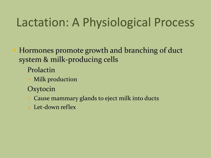 PPT - Life Cycle Nutrition: Pregnancy and Lactation PowerPoint ...