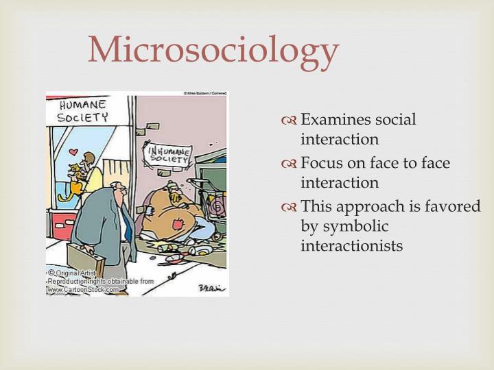 PPT - Social Structure and Social Interaction PowerPoint Presentation ...