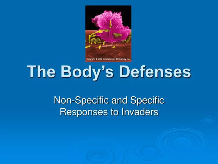 PPT - The Body’s Defenses PowerPoint Presentation, free download - ID ...
