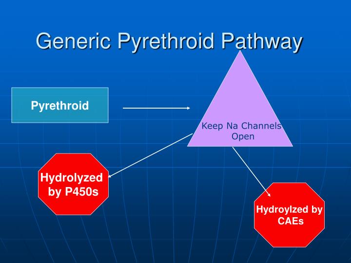 PPT - Definition of a Pesticide PowerPoint Presentation - ID:399193