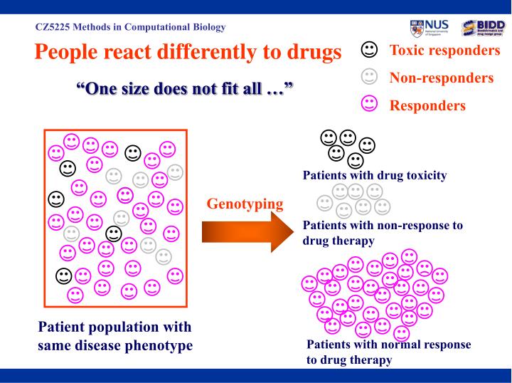 PPT - Lecture 9: Pharmacogenetics and individual variation of drug ...