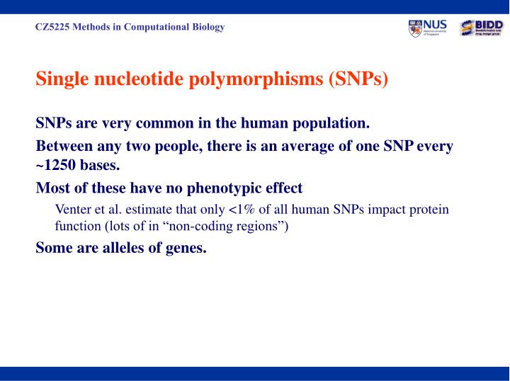 PPT - Lecture 9: Pharmacogenetics and individual variation of drug ...