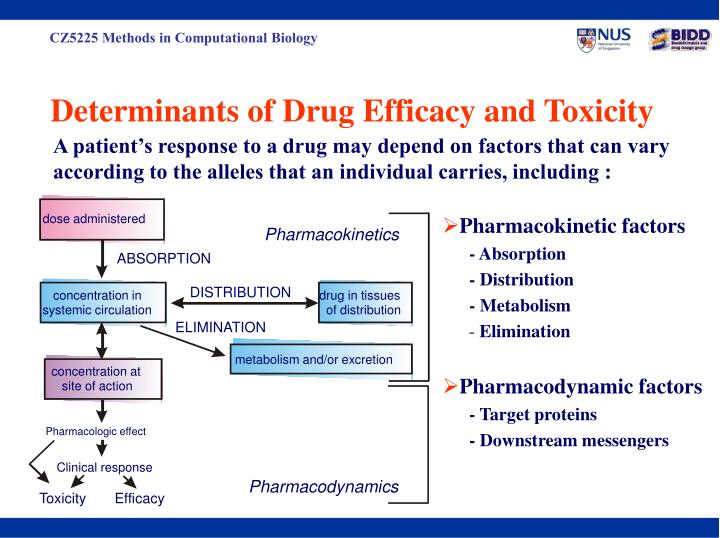 PPT - Lecture 9: Pharmacogenetics and individual variation of drug ...
