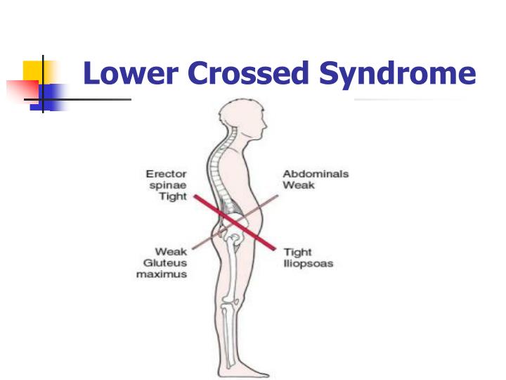 PPT - MUSCLE ENERGY TECHNIQUES (MET) PowerPoint Presentation - ID:400191