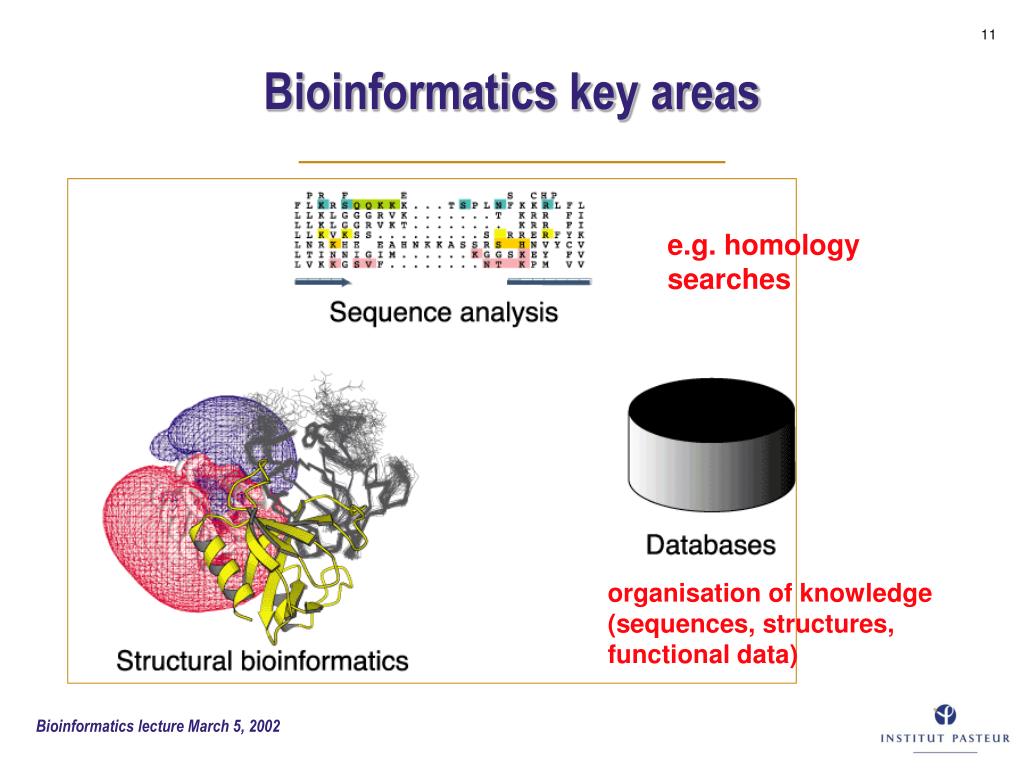 PPT - Bioinformatics and sequence analysis PowerPoint Presentation ... PPT - Bioinformatics and sequence analysis PowerPoint Presentation ...