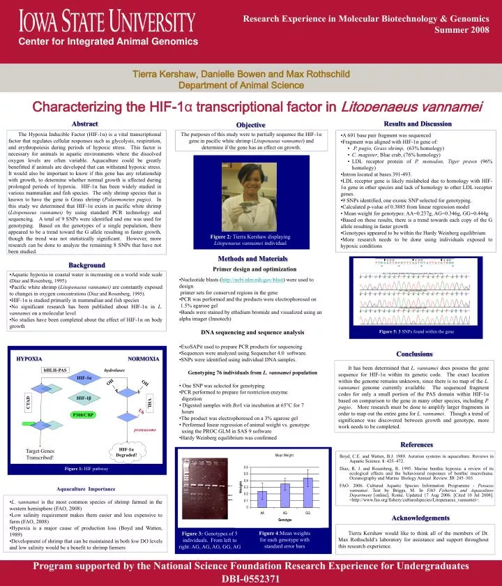 PPT - Center for Integrated Animal Genomics PowerPoint Presentation ...
