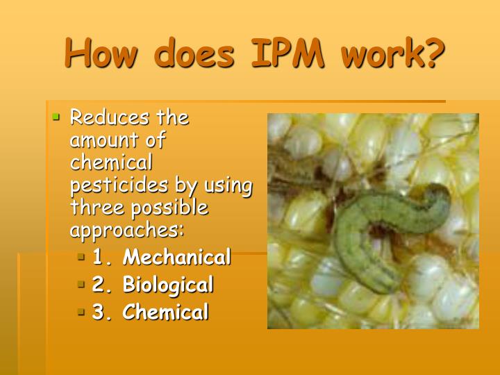 PPT - Integrated Pest Management (IPM) PowerPoint Presentation - ID:400808