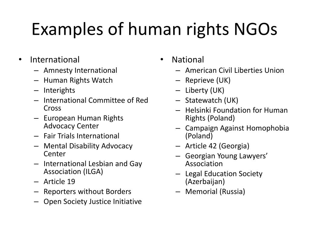 Ppt The Role Of Ngos In The Protection Of Human Rights Powerpoint