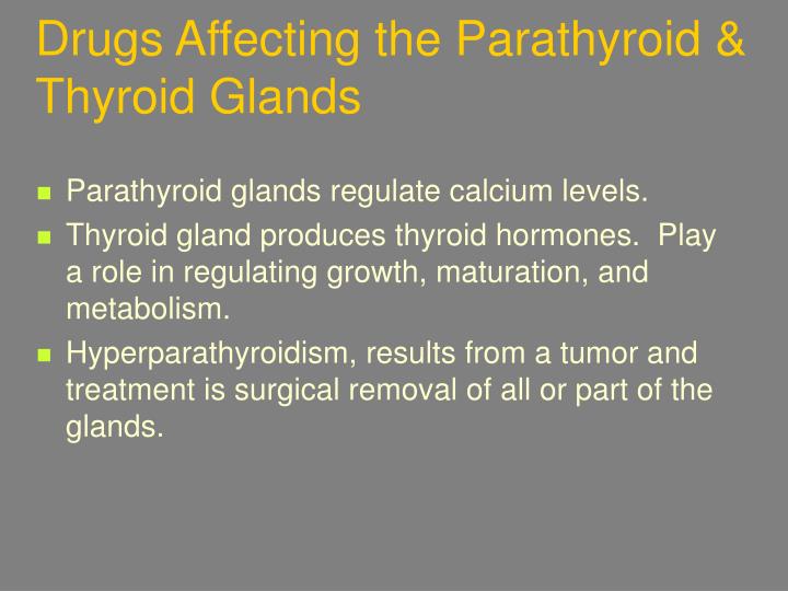 PPT - ENDOCRINE PHARMACOLOGY PowerPoint Presentation - ID:400871