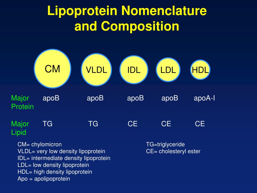 PPT - Adult Treatment Panel III (ATP III) Guidelines May 2001 ...