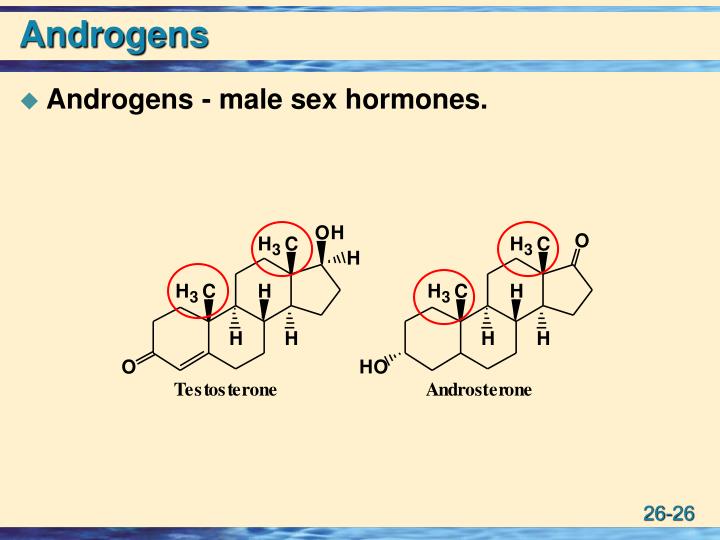 PPT - Lipids PowerPoint Presentation - ID:401966