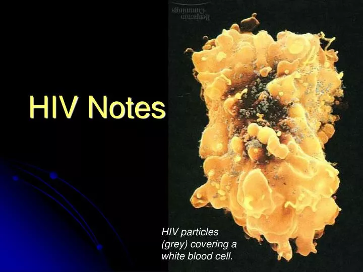 PPT - HIV Notes PowerPoint Presentation, free download - ID:402339