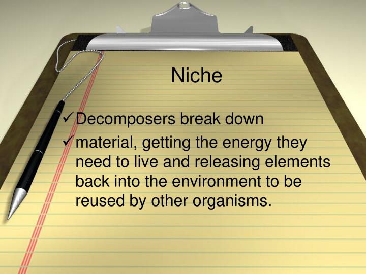 PPT - The Role of Decomposers in the Ecosystem PowerPoint Presentation ...