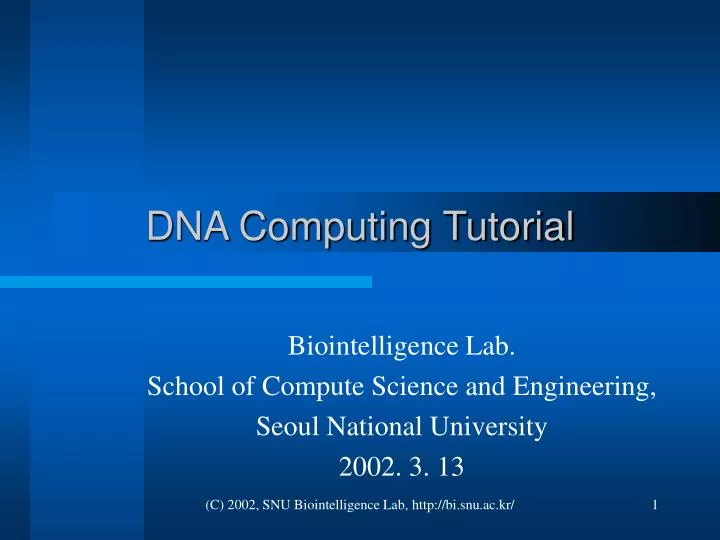 PPT - DNA Computing Tutorial PowerPoint Presentation, free download - ID:40352