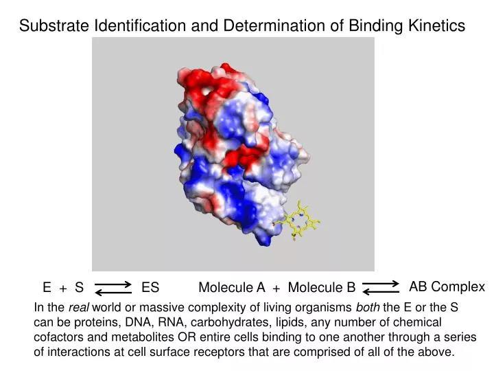 PPT - Substrate Identification and Determination of Binding Kinetics ...