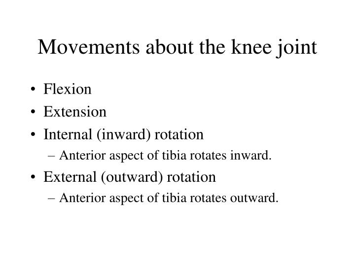 PPT - The Knee Joint PowerPoint Presentation - ID:404142
