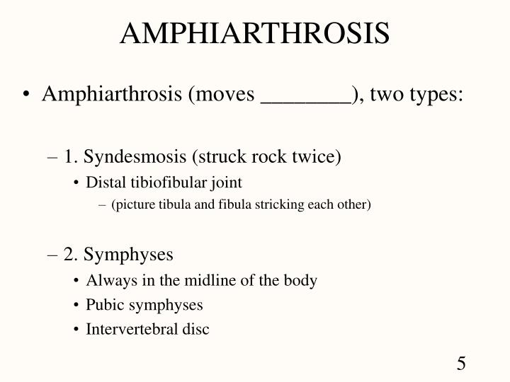 PPT - Chapter 9 Joints PowerPoint Presentation - ID:404700