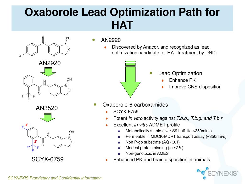 PPT - Oxaborole Lead Optimization Path for HAT PowerPoint Presentation ...
