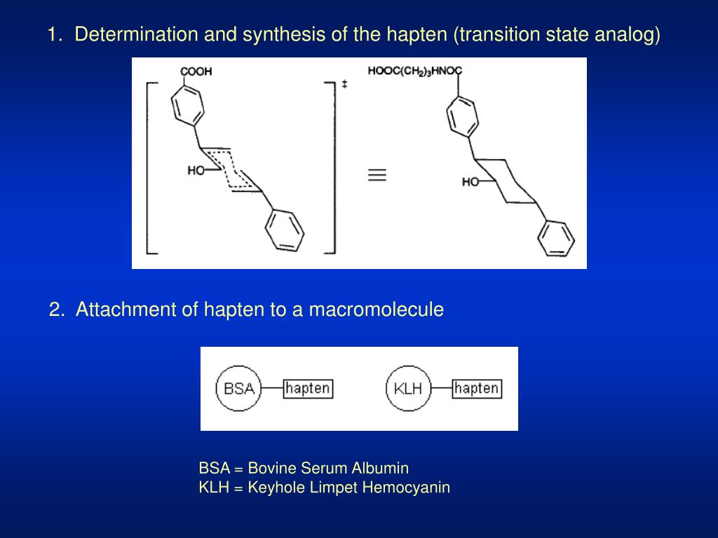 PPT - Catalytic Antibody – AZ-28 Oxy Cope Rearrangement Biocatalyst ...