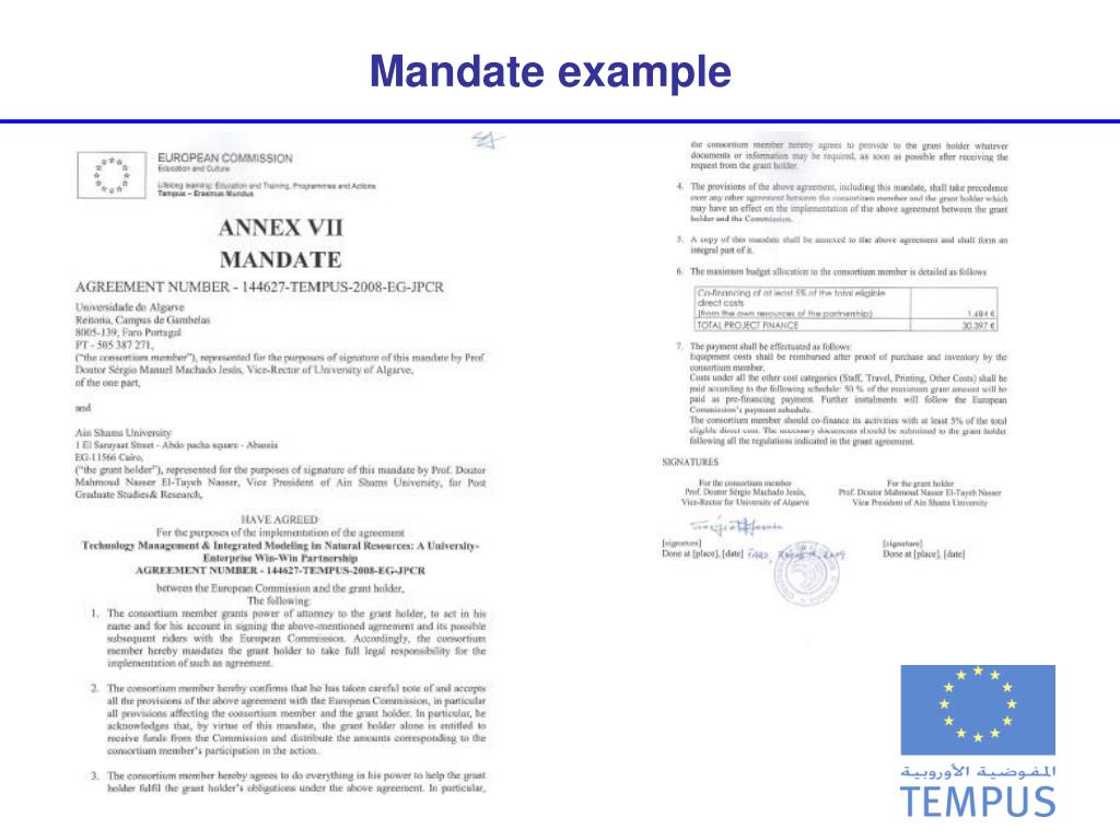 PPT - Tempus project representative meeting Antwerp, 6-7 December 2010 ...