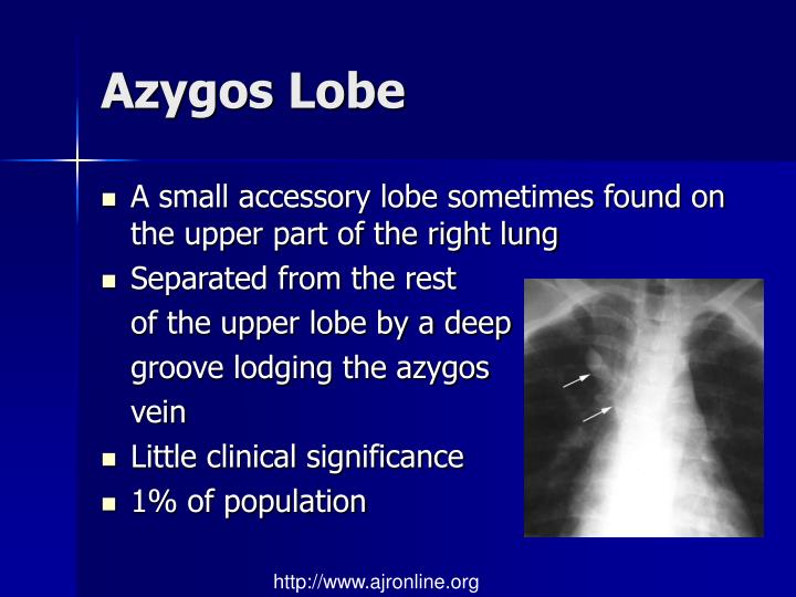 PPT - Diagnostic Radiology III Definitions PowerPoint Presentation - ID ...