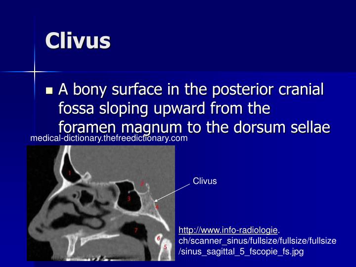 PPT - Diagnostic Radiology III Definitions PowerPoint Presentation - ID ...