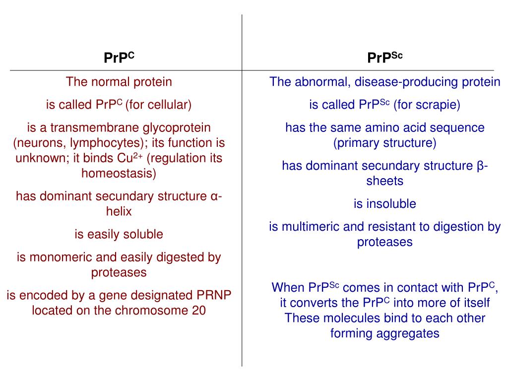 PPT - Biochemistry of neurodegenerative diseases and prions PowerPoint ...