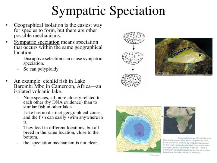 PPT - Basic Biology II: Genetics and Evolution PowerPoint Presentation ...
