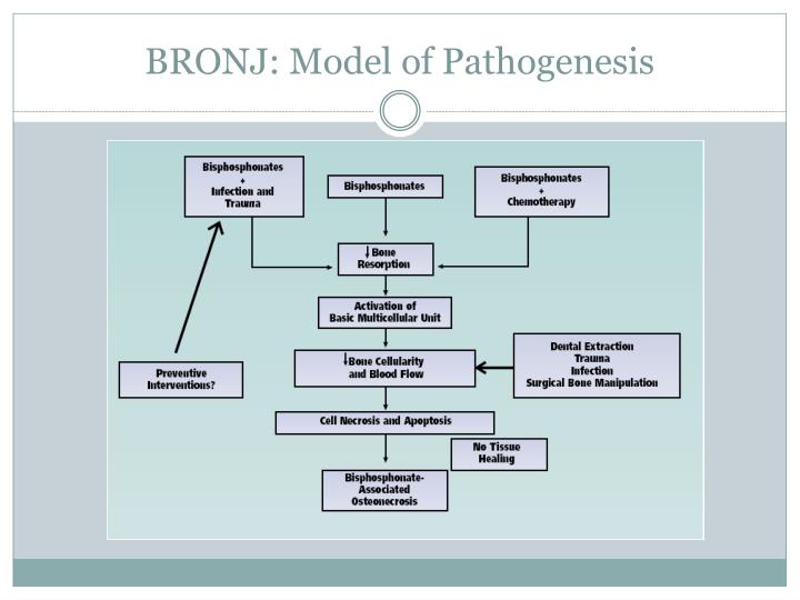 PPT - Bisphosphonate Related Osteonecrosis of the Jaws PowerPoint ...